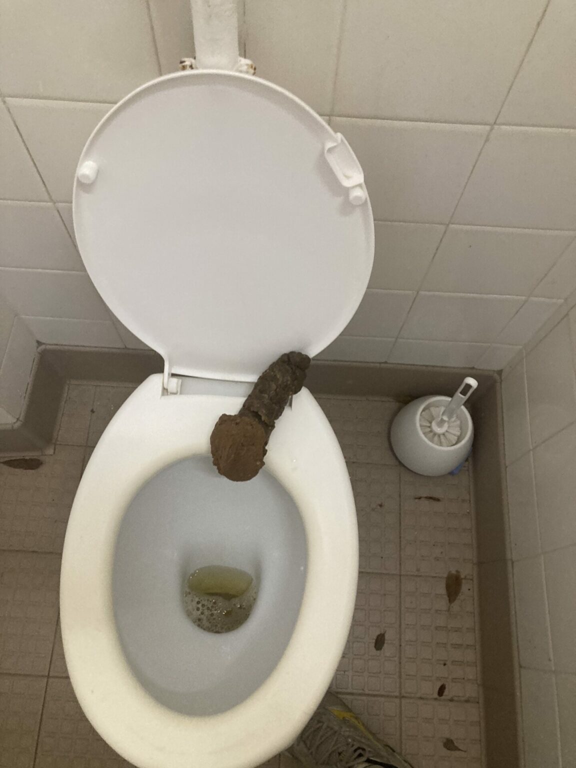 Le caca ultime - Note Mon Caca.fr