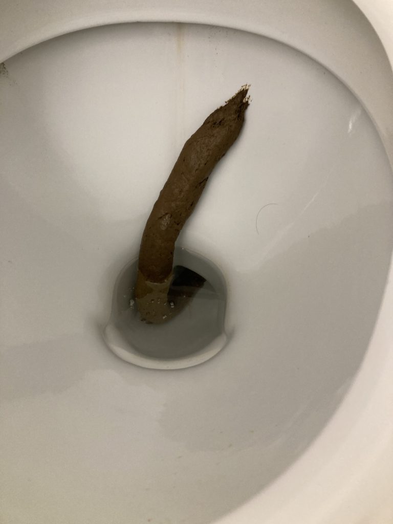 Big weekend - Rate my poo.eu