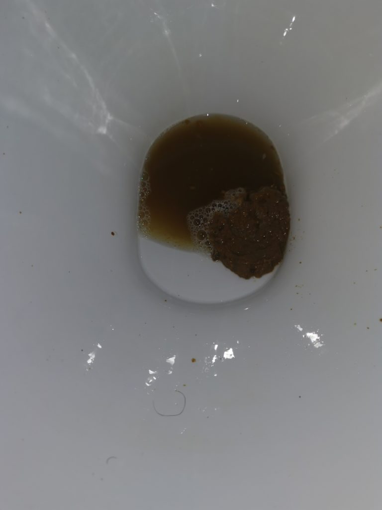 Morning poo - Rate my poo.eu