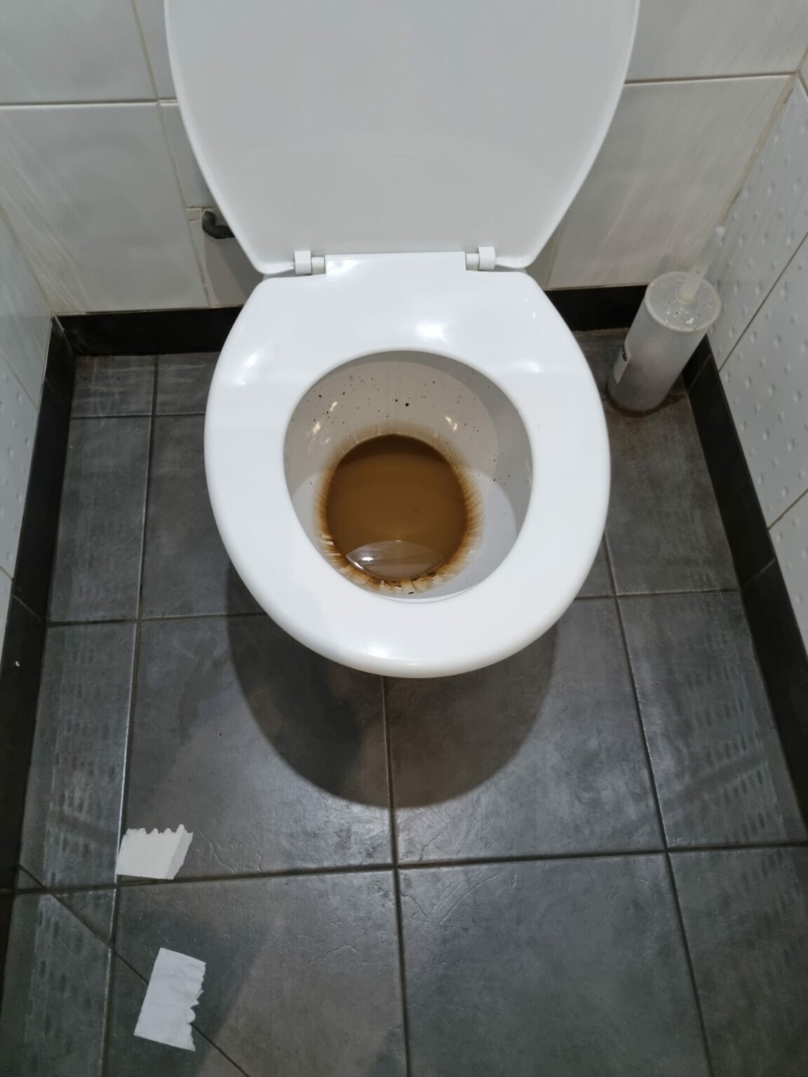 Milkshake - Rate my poo.eu