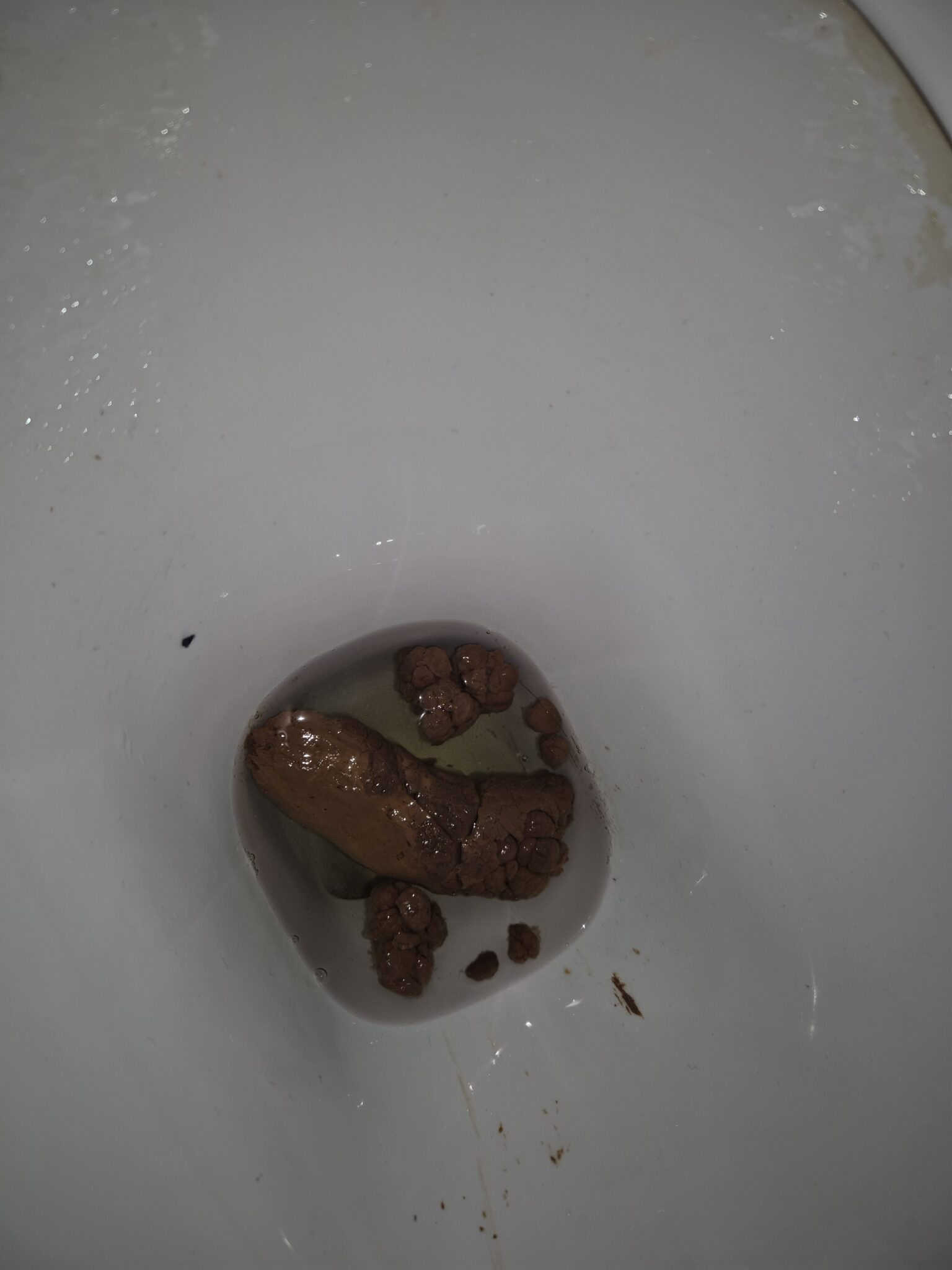 I feel better part 1 - Rate my poo.eu
