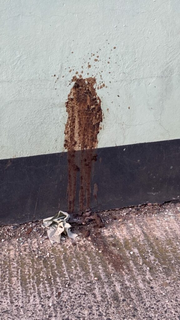 Poop art ! - Rate my poo.eu