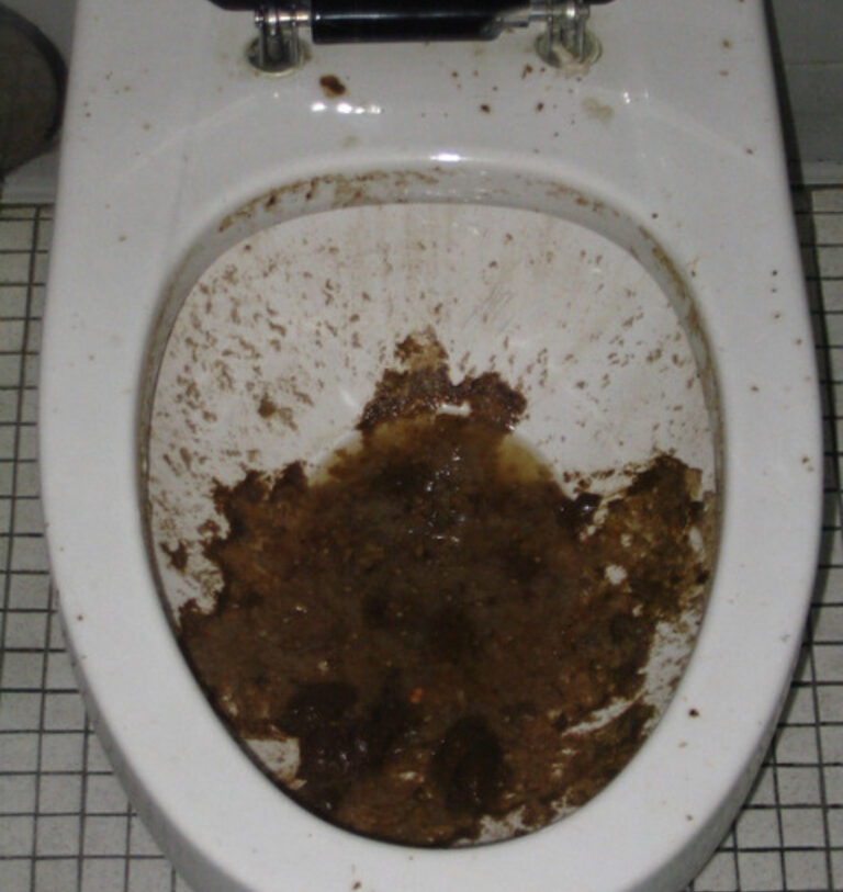 I exploded - Rate my poo.eu