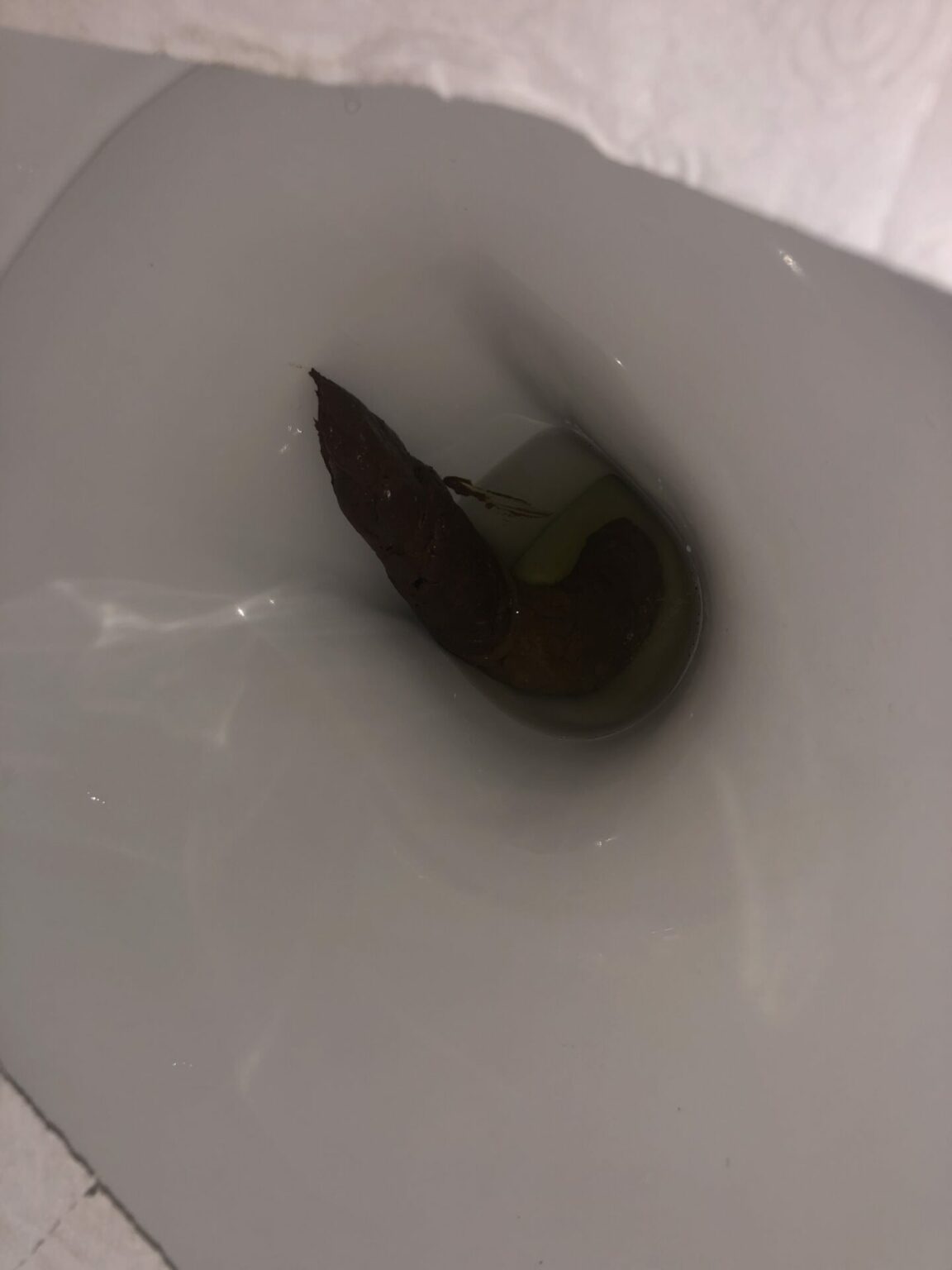 Nike poop - Rate my poo.eu